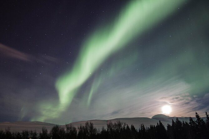 Northern Lights Classic MiniBus Tour from Akureyri - Key Points