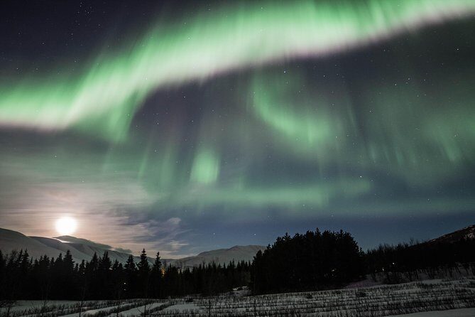 Northern Lights Classic MiniBus Tour from Akureyri - In-Depth Look at the Tour Experience