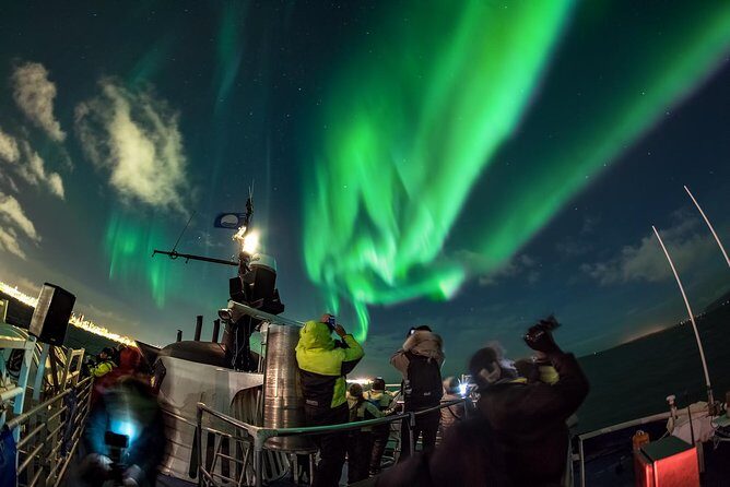 Northern Lights Cruise from Reykjavik Including Photos - What Is the Northern Lights Cruise from Reykjavik?
