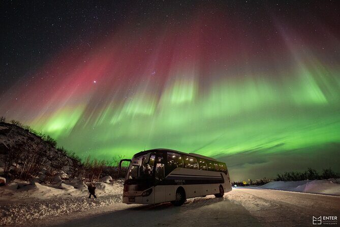 Northern Lights Guided Bus Tour with Free Photos - Who Should Book This Tour?