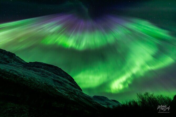 Northern Lights Guided Bus Tour with Free Photos - The Sum Up