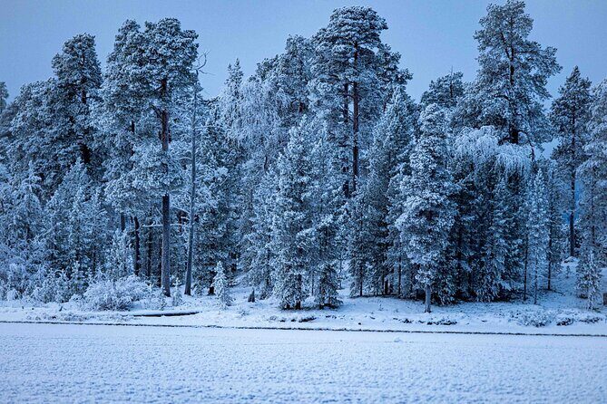 Northern Lights Holiday in Finland - Practical Tips for Travelers
