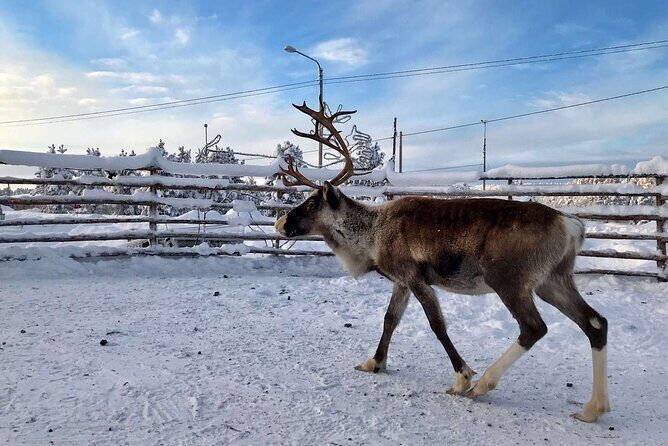 Northern Lights Holiday in Finland - FAQ