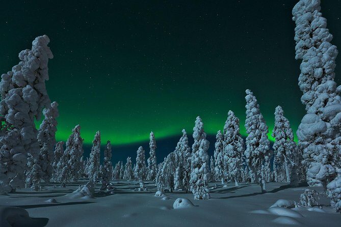 Northern Lights Hunt from Rovaniemi with Folk Tales and Snacks over Campfire - Key Points