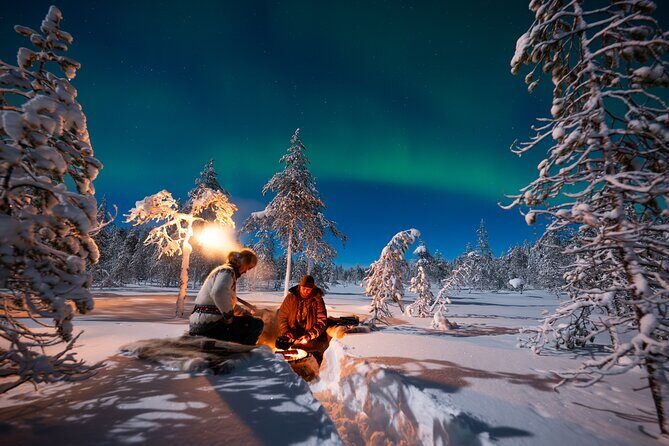 Northern Lights Hunting Expedition in Ranua, Lapland - Why This Tour Works for You