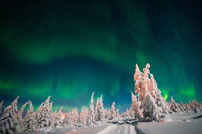 Northern Lights Hunting of Rovaniemi - Who Will Love This Tour?