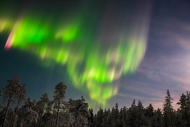 Northern Lights Hunting Photo Tour in Levi - What to Expect From the Tour