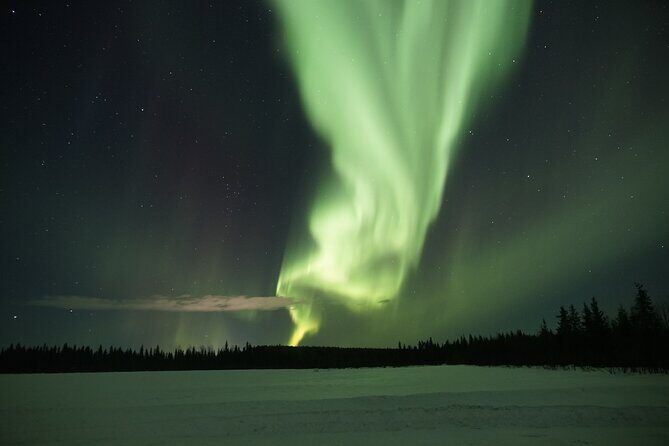 Northern Lights Hunting Photo Tour in Levi - Who Would Love This Tour