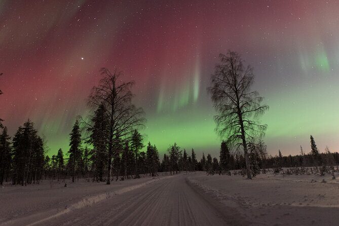 Northern Lights Hunting with a photographer (Only small groups) - Who Should Consider This Tour?