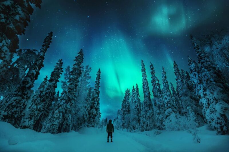 Northern Lights Hunting with Aurora Workshop - Practical Aspects: Pricing, Group Size, and Logistics