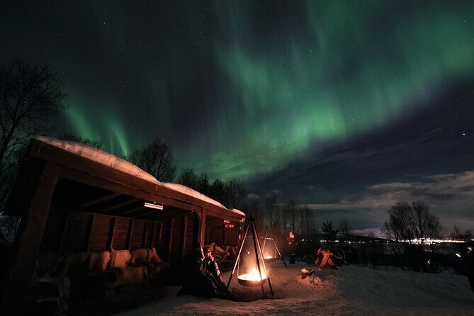 Northern Lights Husky Visit - Is This Tour Right for You?