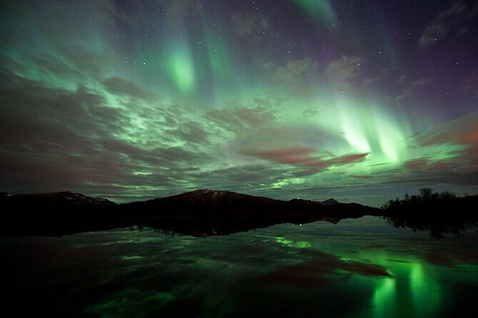 Northern Lights Husky Visit - Final Thoughts