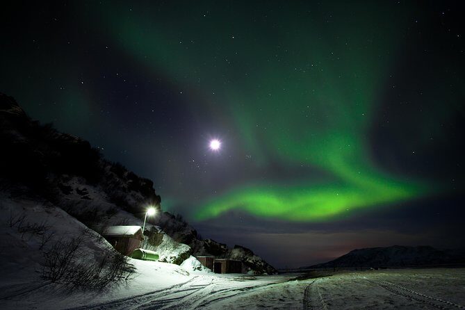 Northern Lights Minibus Tour with Hot Cocoa, Blankets & Photos - Who This Tour Is Best For