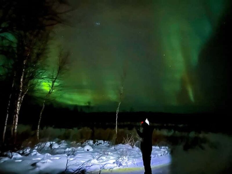 Northern lights private tour Rovaniemi - Northern Lights Private Tour Rovaniemi: An Authentic Arctic Adventure