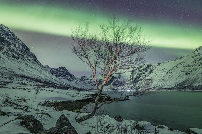 Northern Lights Private tour with your special ones - Greenlander - An Overview of the Tour Experience