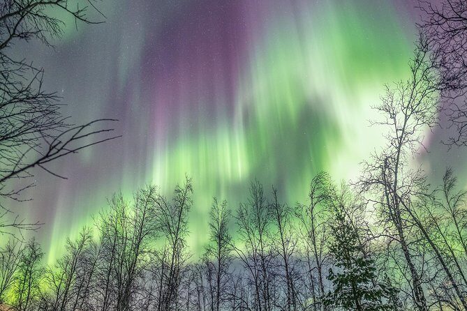 Northern Lights Private tour with your special ones - Greenlander - Who Is This Tour Best For?