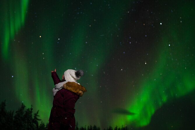 Northern lights Reindeer Sledge Ride - Key Points