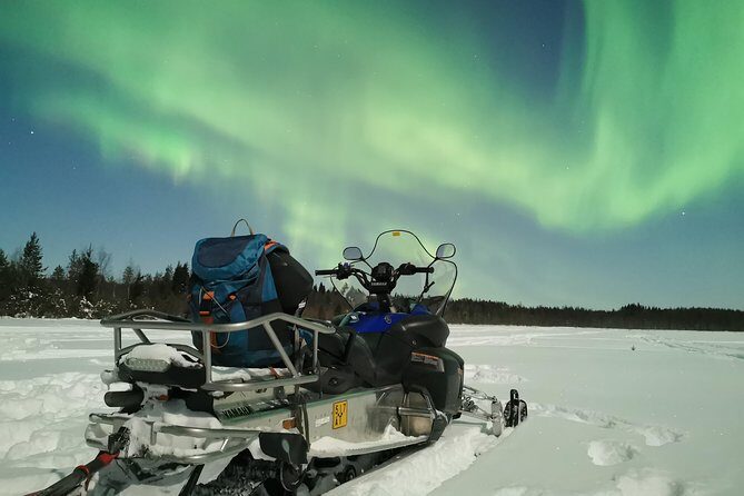 Northern Lights Sledge Ride - What You Can Expect from the Tour