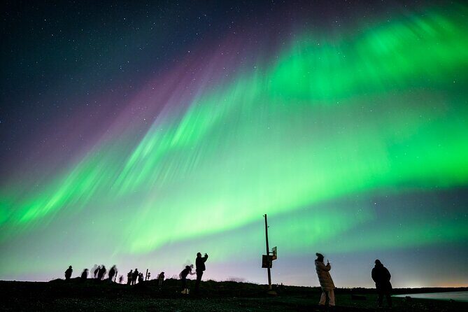 Northern Lights Small Group Tour from Reykjavik - An Overview of the Tour Experience