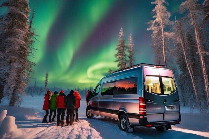 Northern Lights Small Group Tour from Reykjavik - The Sum Up