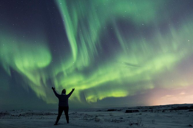 Northern Lights Small Group Tour from Reykjavik with Free Photos - Pricing & Value for Money