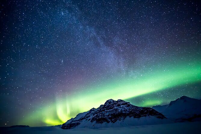 Northern Lights Small-Group Tour with Free Photos & Hot Chocolate - Who Would Love This Tour?