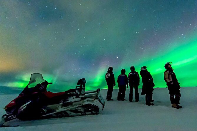 Northern Lights Snowmobile Safari from Rovaniemi with Campfire Picnic - Key Points