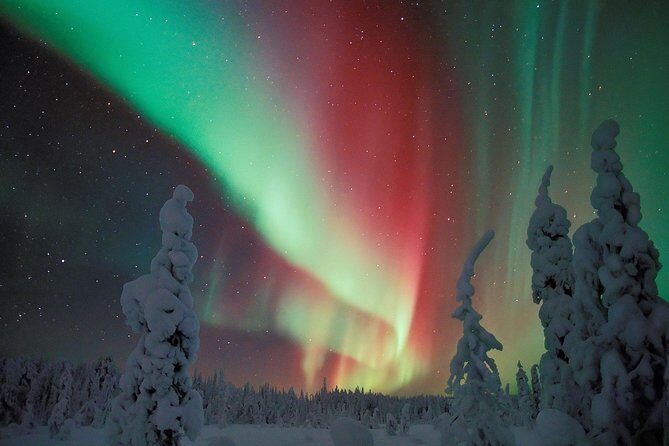 Northern Lights Snowmobile Safari from Rovaniemi with Campfire Picnic - Final Thoughts
