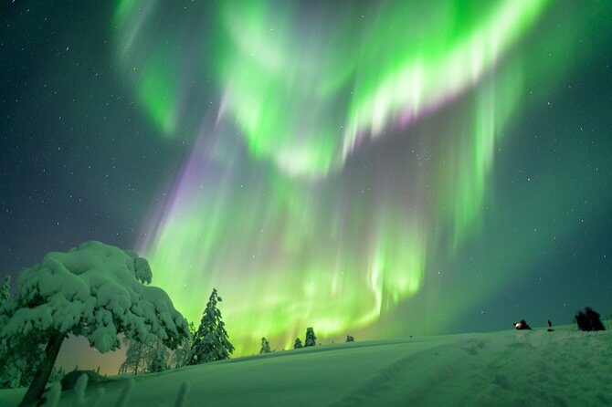 Northern Lights Snowmobile Sleigh Ride - Key Points