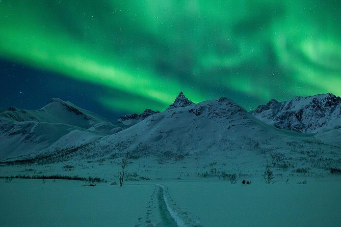 Northern Lights Tour from Tromsø - The Experience for Different Travelers