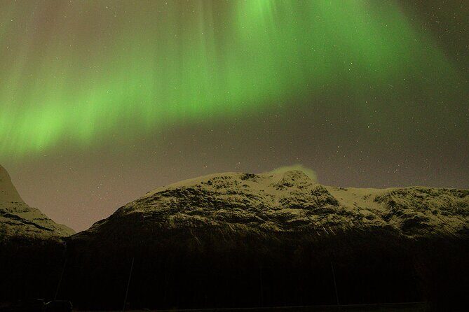 Northern Lights Tour with Local Guide and Photos - Customer Reviews: What Travelers Say