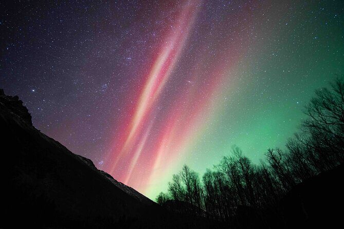 Northern Lights Tour with small group of 8 people - What to Expect from the Northern Lights Small Group Tour  