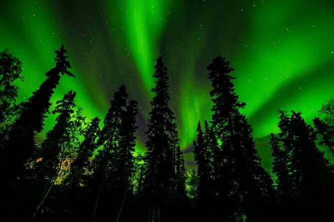 Northern Lights Tours - The Experience in Detail