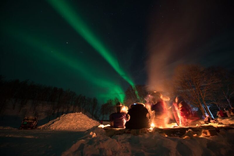 Northern lights Tromsø - small group tour with local guide - The Experience: What to Expect on Your Northern Lights Adventure