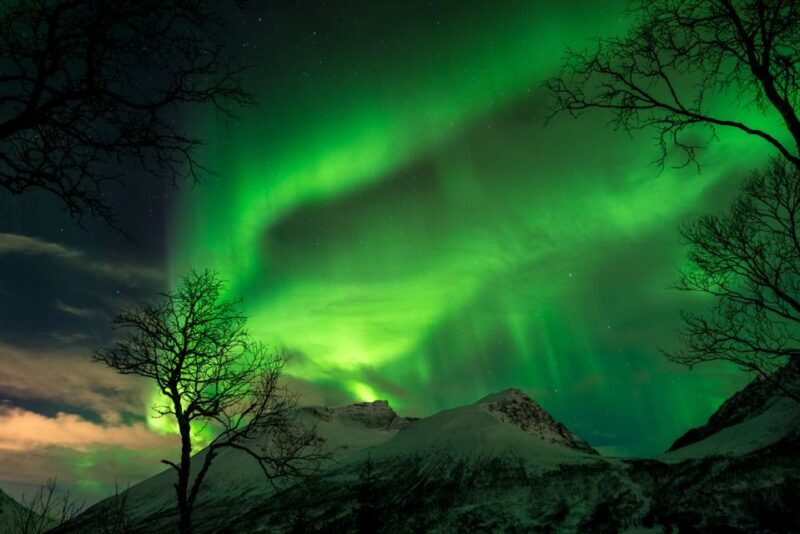 Northern lights Tromsø - small group tour with local guide - FAQ