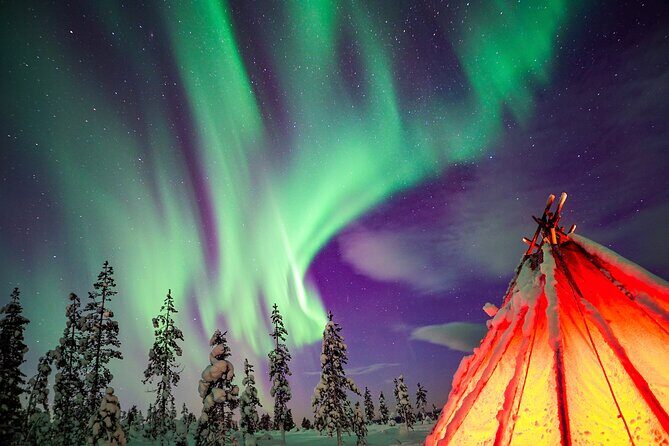 Northern Lights Wilderness Small-Group Tour from Rovaniemi - Key Points