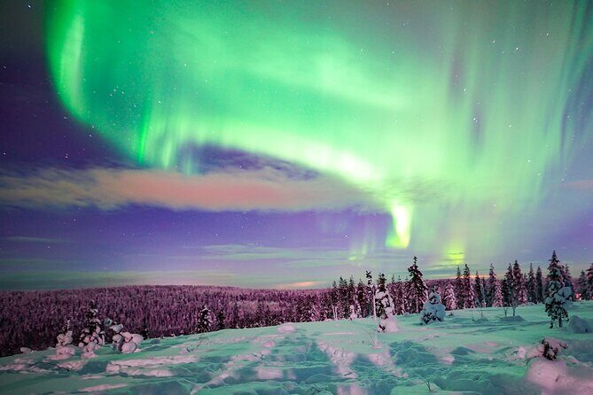 Northern Lights Wilderness Small-Group Tour from Rovaniemi - The Value and Pricing