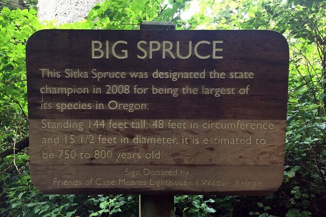 Northern Oregon Coast Day Trip to Three Capes Scenic Loop - Possible Considerations