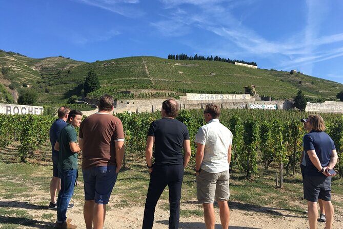 Northern Rhône Valley From Lyon Full day - The Itinerary: What to Expect on Your Day