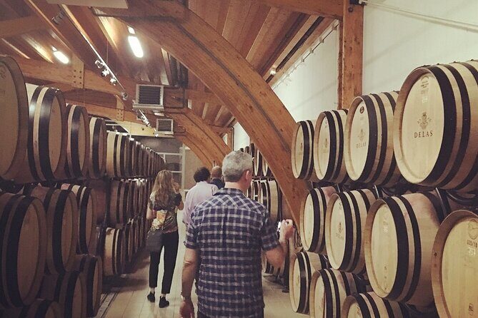 Northern Rhône Valley From Lyon Full day - The Value for Money