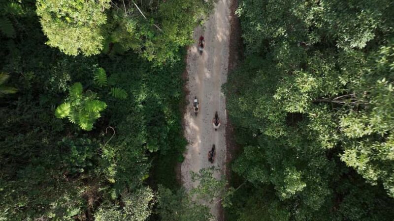 Northern Rivers Rail Trail E-Bike Hire w Shuttle from Byron - Food and Refreshments