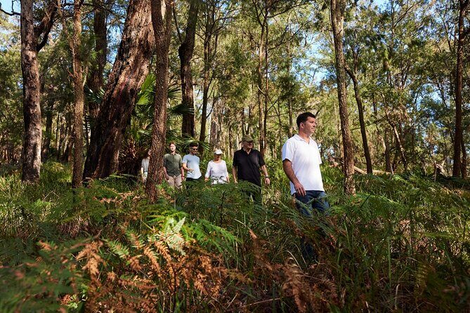 Northern Sydney Beaches and Beyond - Practical Considerations