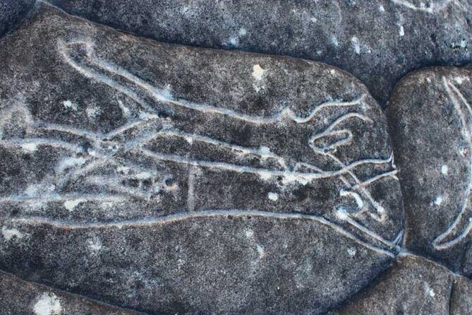 Northern Sydney Beaches and Beyond - FAQ