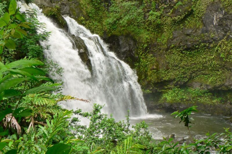 Northshore Maui: Guided Rainforest and Waterfall Walk - Key Points  