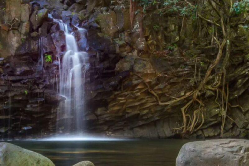 Northshore Maui: Guided Rainforest and Waterfall Walk - Real User Experiences: Authentic Insights