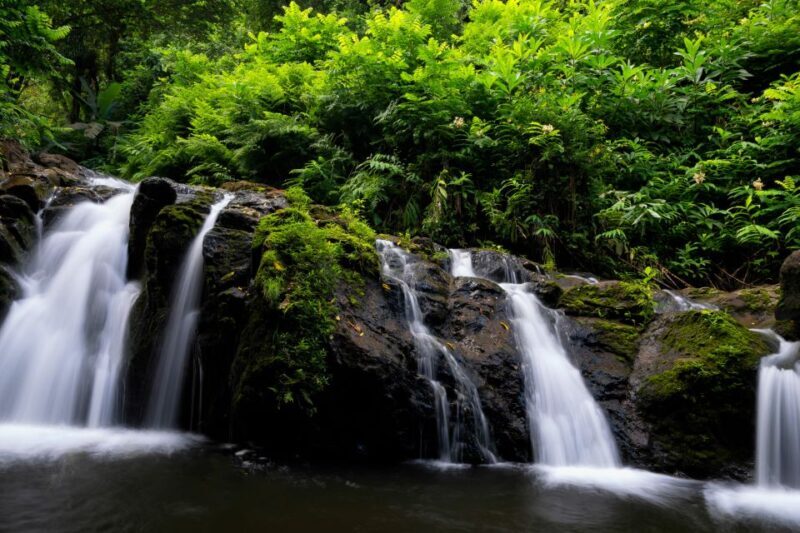 Northshore Maui: Guided Rainforest and Waterfall Walk - FAQ