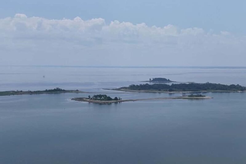 Norwalk: Paddleboard Rental at Calf Pasture Beach - The Experience at a Glance: What to Expect