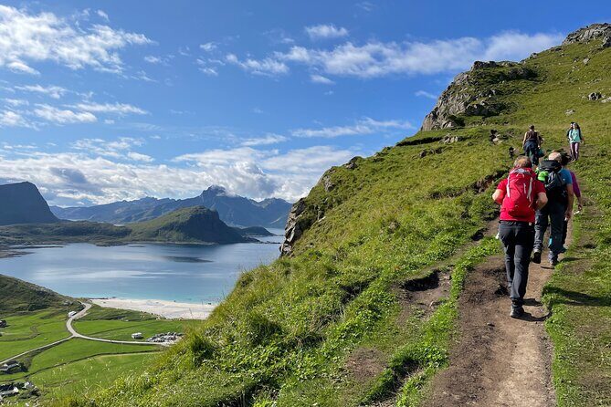 Norway Lofoten Private Shore Excursion from Leknes - Exploring the Lofoten Landscape