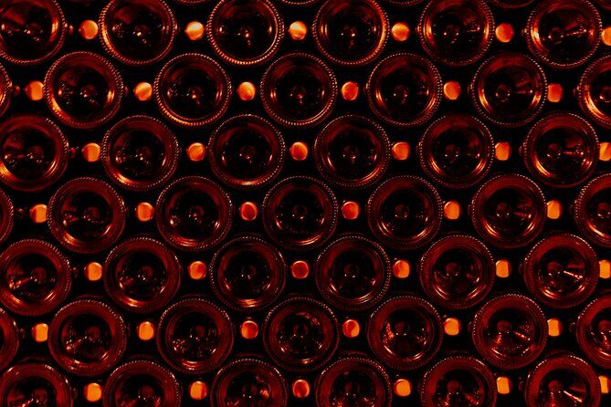 Not Your Average Champagne Tour - Day Trip From Paris (Private) - Why This Tour Offers Great Value