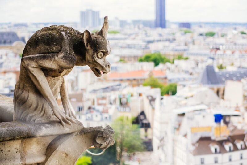 Notre Dame cathedral exterior tour & entrance with host - Who Should Consider This Tour?